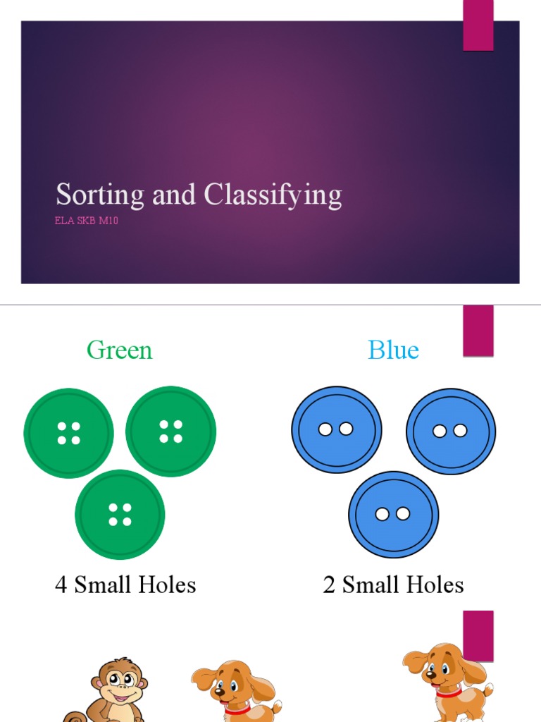 Sorting and Classifying | PDF