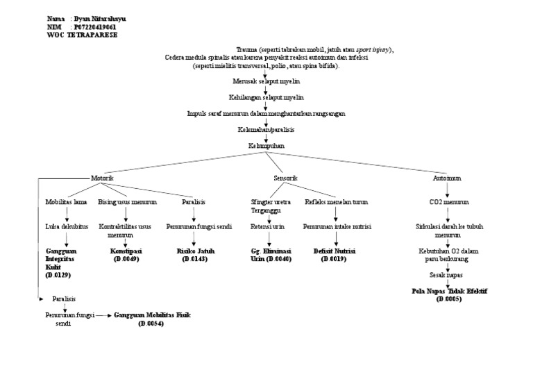 Woc Tetraparese | PDF