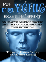 What Is Isithunywa | PDF