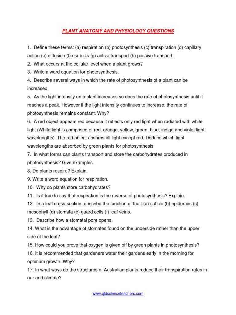 Plant Physiology Questions PDF | PDF | Photosynthesis | Stoma