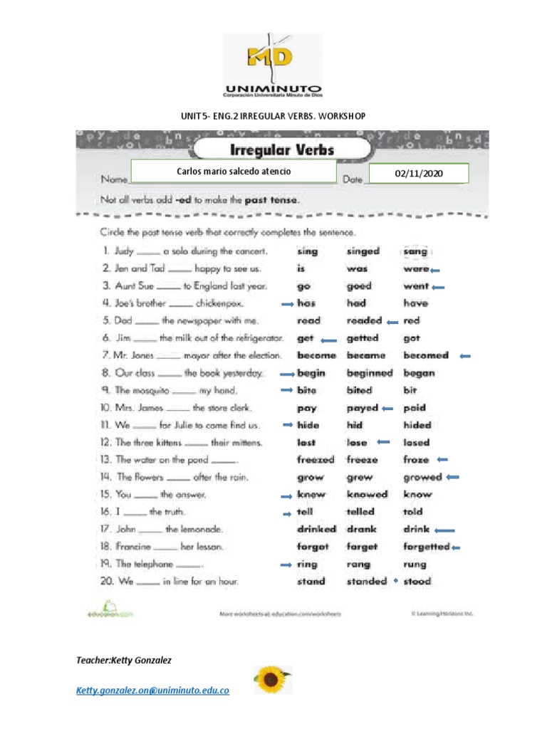 Irregular Verbs Workshop Guide | PDF