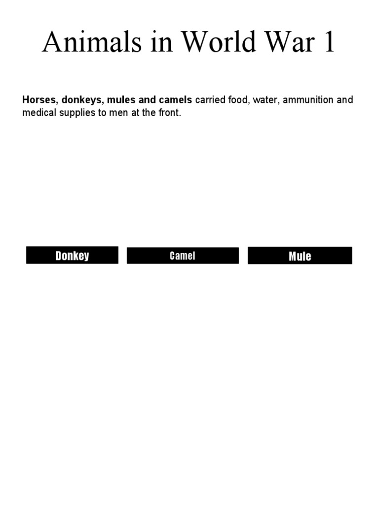 Animals in World War 1 | PDF