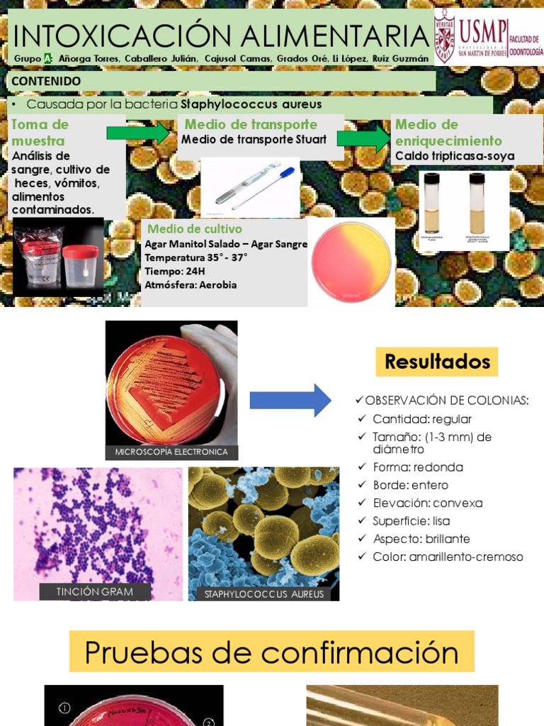 Intoxicacion Alimentaria Por Estafilococos | PDF