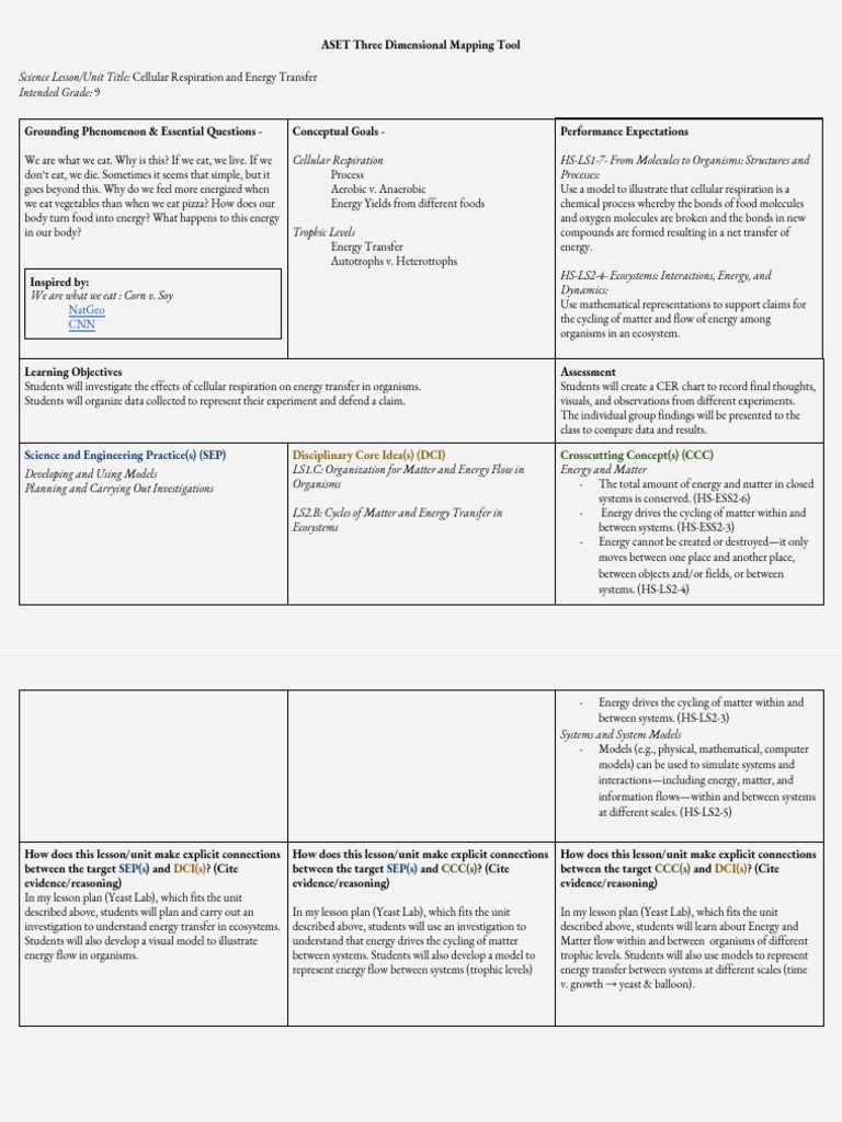 Aset 3d Mapping Tool Alvarez 1 | PDF | Cellular Respiration | Food Web