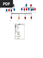 MMDST: Metro Manila Development Screening Test (MMDST) 4 Sectors | PDF ...