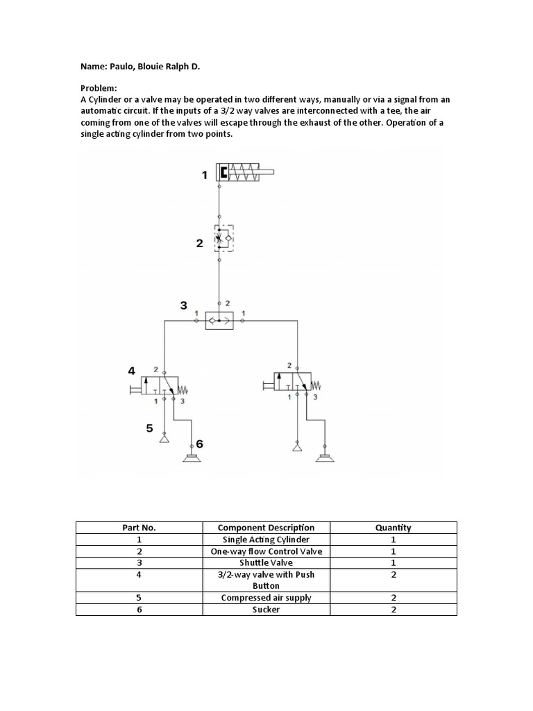 Dual Operation of Cylinder Valves | PDF