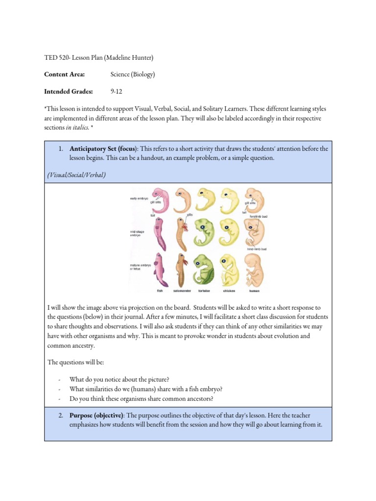 Lesson Plan - Madeline Hunter Final | PDF | Lesson Plan | Vocabulary