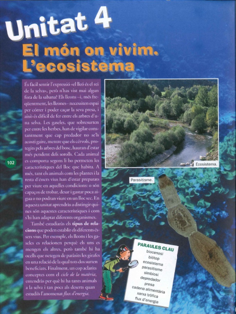 Naturals Unitat 4 2n Eso | PDF