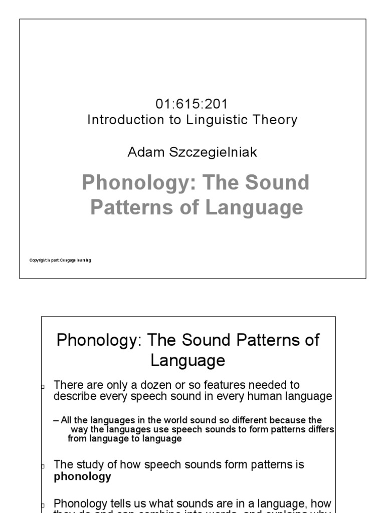 Phonology: The Sound Patterns of Language: 01:615:201 Introduction To ...