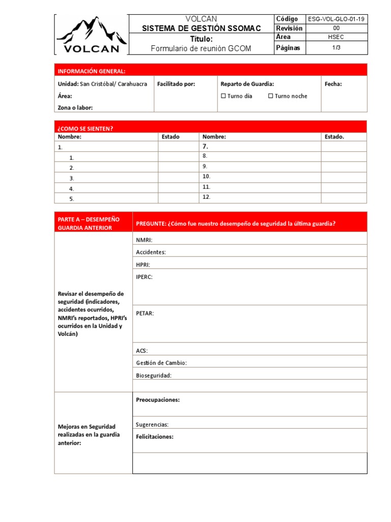 Formato de GCOM | PDF | Violencia | Business