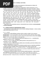 Tarinys Ir Jo Rūšys (Pagrindinis Lygis) : Užbaik Sakinius (Įrašyk ...