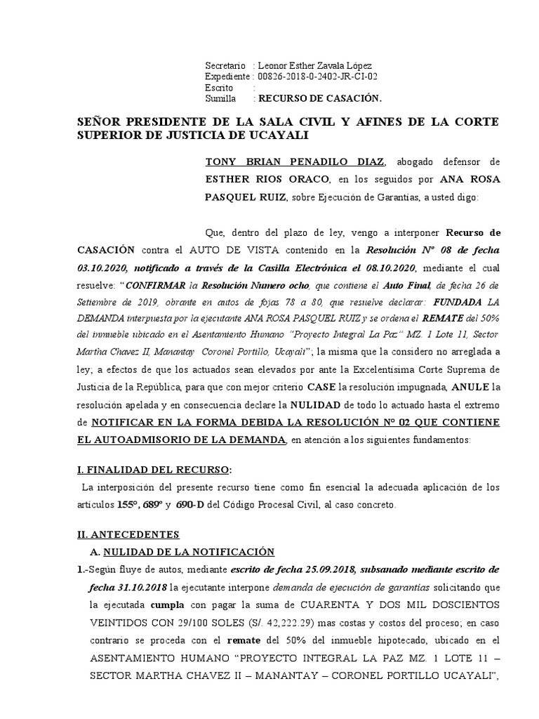 Casacion Modelo de Esther Rios Oraco | PDF | Ley procesal | Debido al ...