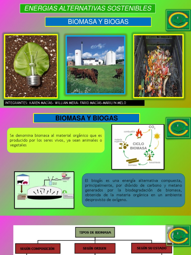Biomasa y Biogas | PDF | Bioenergía | Recursos energéticos