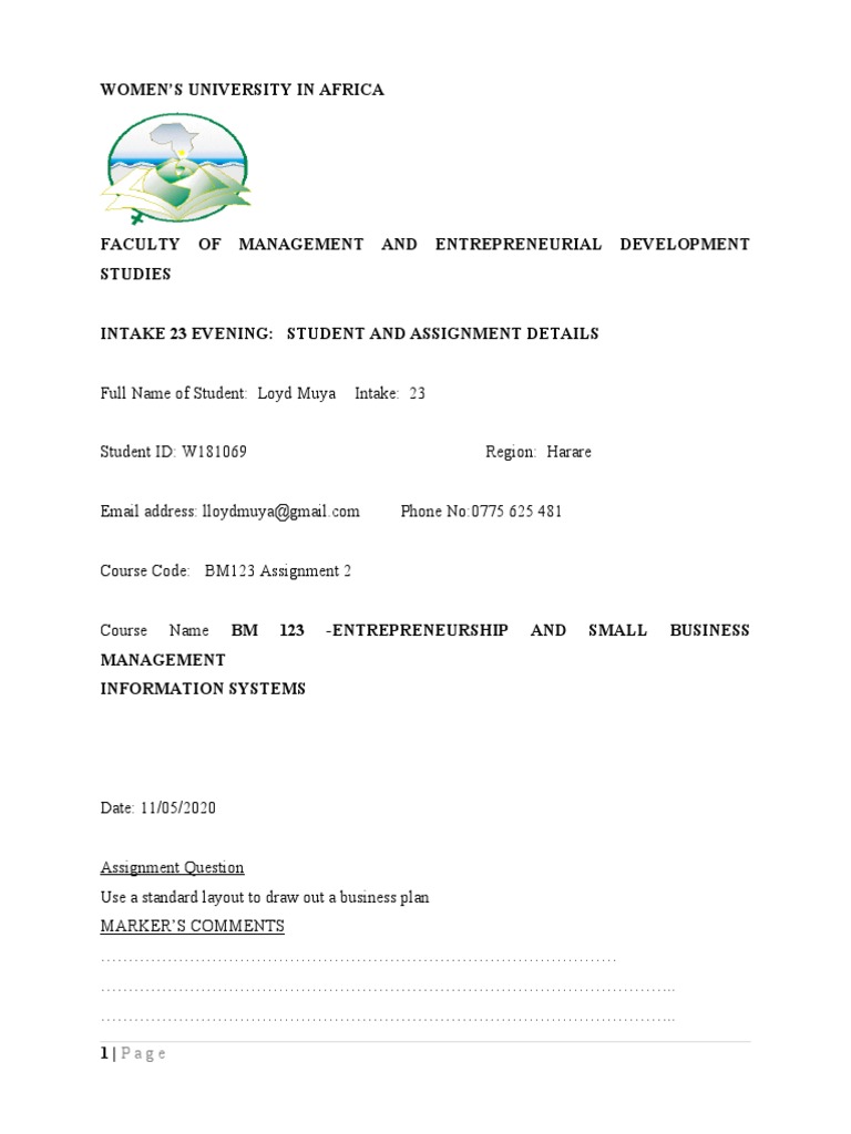 Business Plan Assignment Rewrite | PDF | Retail | Startup Company