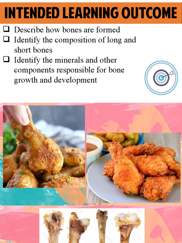 Bone Composition and Growth Explained | PDF
