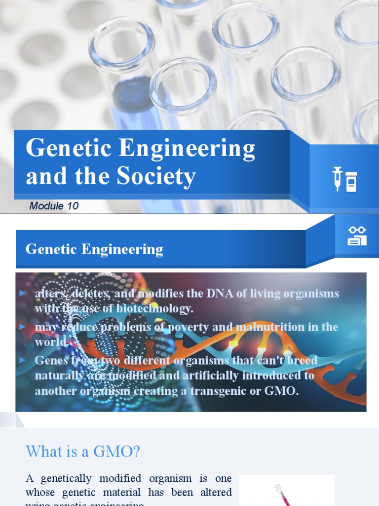 Genetic Engineering and The Society | PDF | Genetically Modified ...