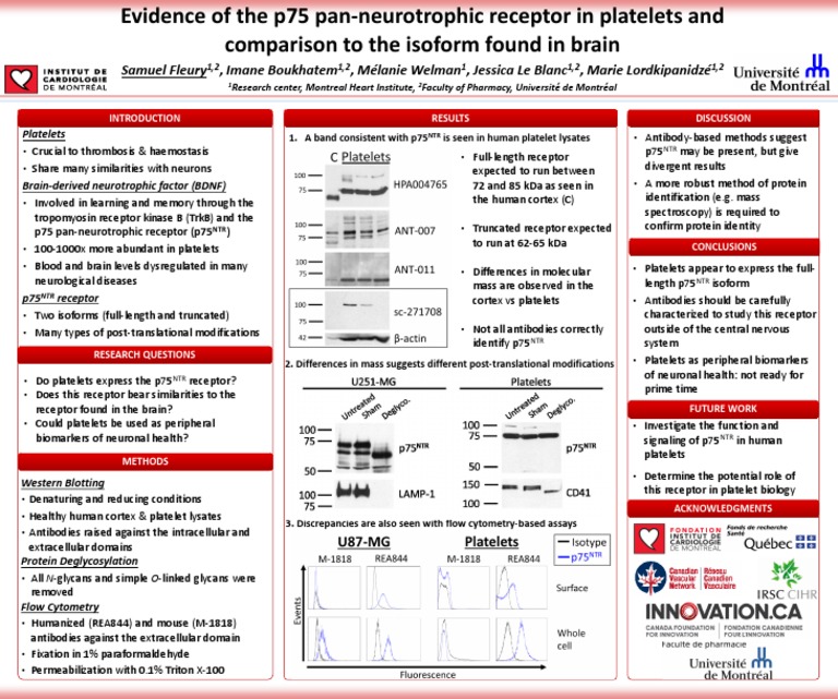 Samuel Fleury - Evidence of The p75 Pan Neurotrophic Receptor in ...