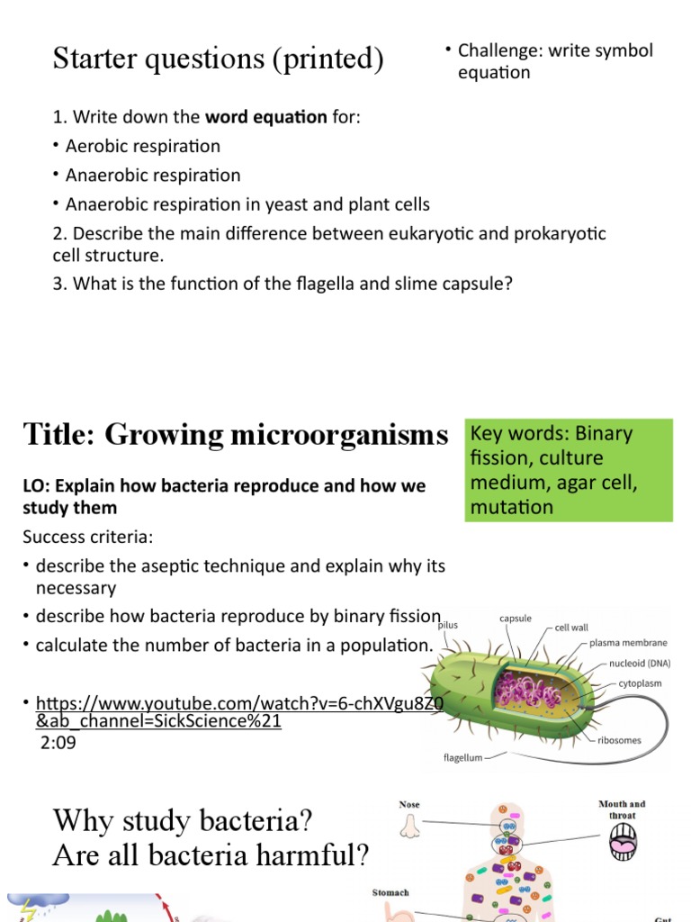 Bacterial Growth and Aseptic Techniques | PDF | Growth Medium | Bacteria