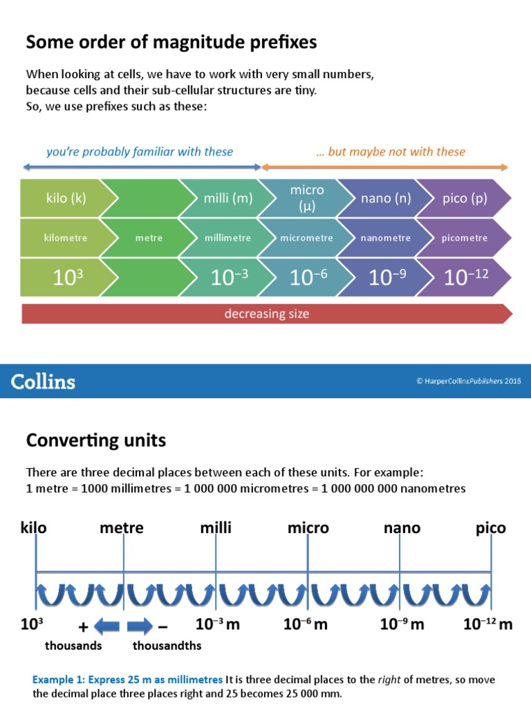 Order of Magnitude in Biology Units | PDF