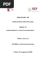 Módulo 17 Proyecto Integrador | PDF