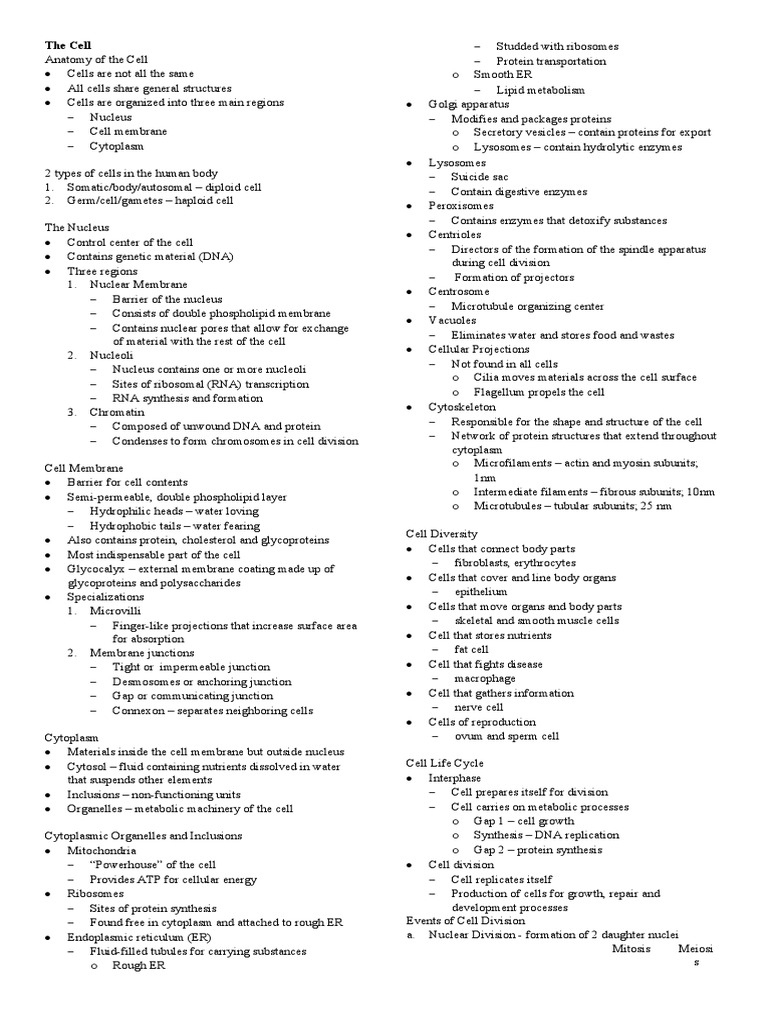 Ana Cells | PDF | Epithelium | Tissue (Biology)