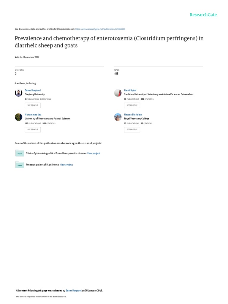 Prevalence and Chemotherapy of Enterotoxemia (Clostridium Perfringens ...