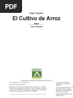 Subproductos del Arroz: Arrocillo y Más | PDF | Arroz | Cereales