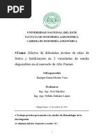 Proyecto de Locote en Paraguay | PDF | Pimiento | Economias