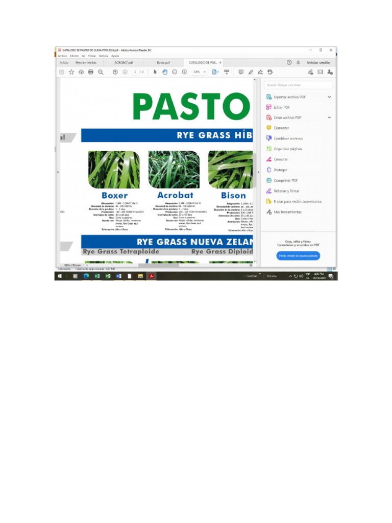 Pasto Rye Grass Acrobat | PDF