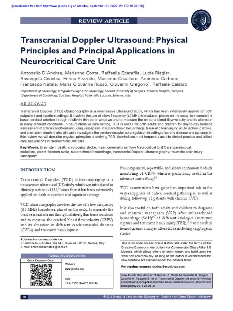 Doppler Transcraneal 1 | PDF | Medical Ultrasound | Angiology
