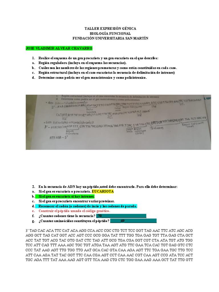 Taller Expresion Génica 2020-JOSE ALVEAR | PDF | Procesos biologicos | Gene
