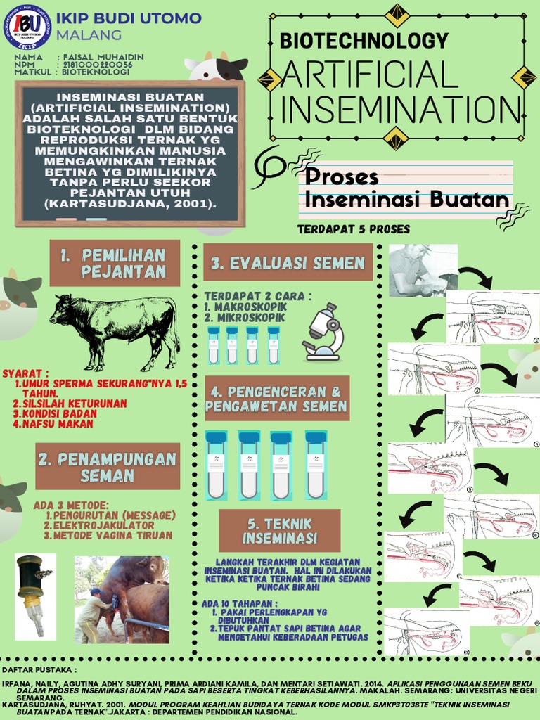 Tugas Bioteknologi - Poster Inseminasi Buatan | PDF