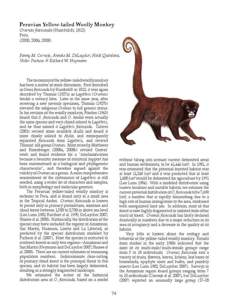 Peruvian Yellow-Tailed Woolly Monkey: Peru (2000, 2006, 2008) | PDF ...
