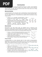 Human Karyotyping Lab Activity | PDF | Karyotype | Chromosome