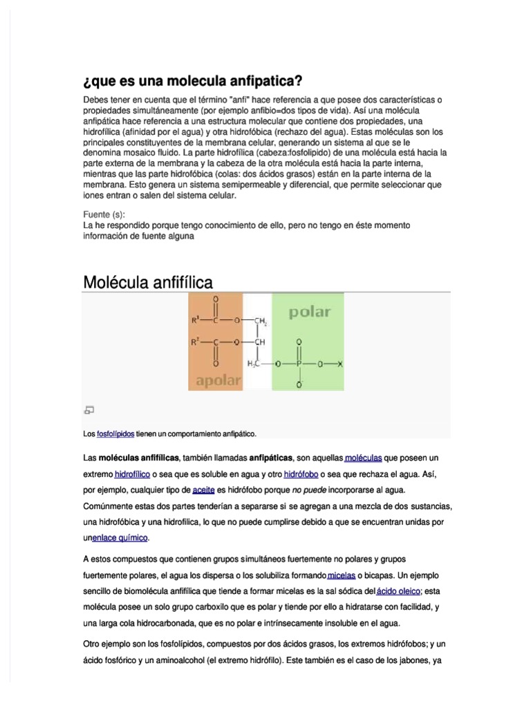 (PDF) Que Es Una Molecula Anfipatica - Compress | PDF | Sustancias ...