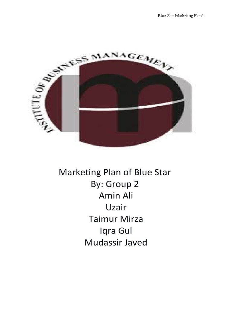 Blue Star Dry Shampoo Marketing Plan | PDF | Pricing | Retail