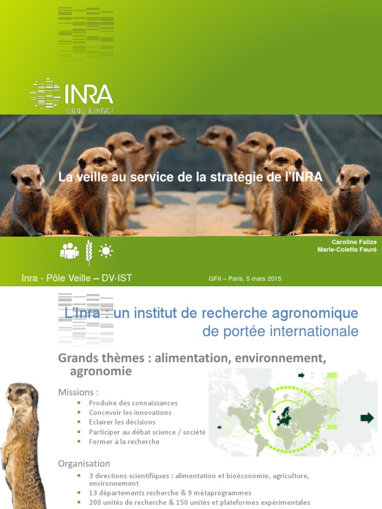La Veille Au Service de La Strategie de L Inra | PDF | Agriculture ...