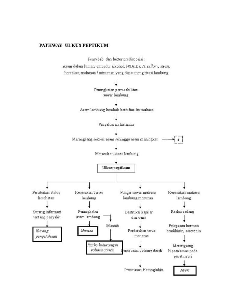 Pathway Ulkus Peptikum | PDF