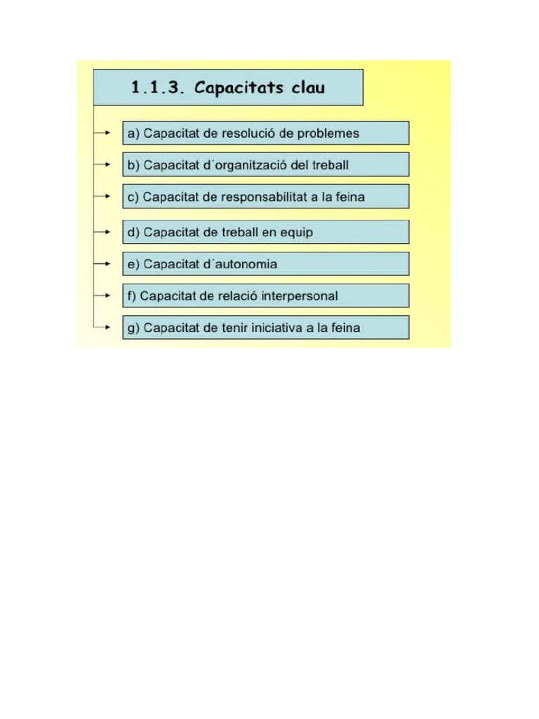Capacitats Clau | PDF