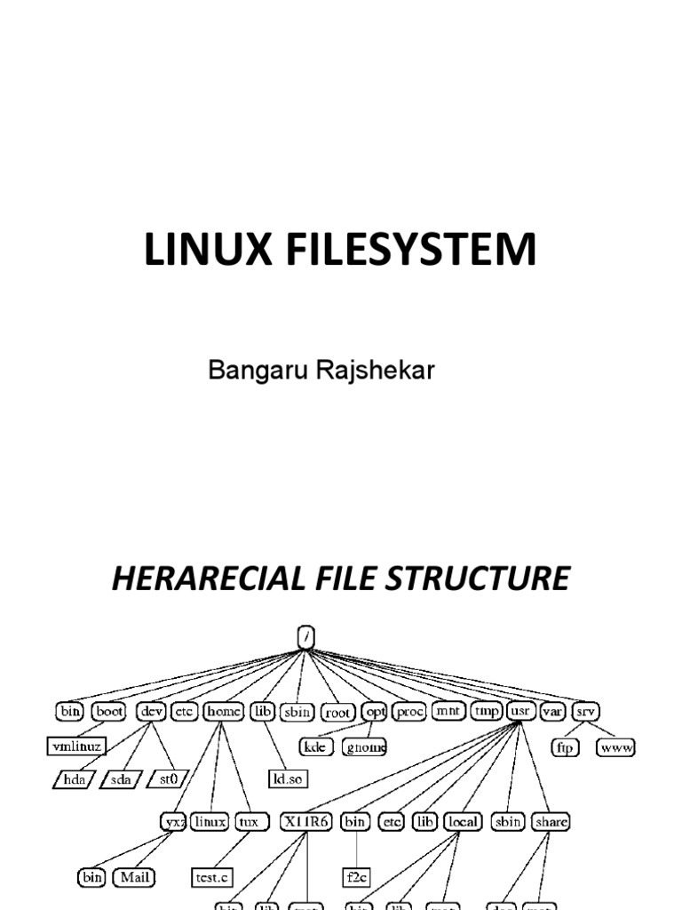 Linux File System | PDF | File System | Computer File