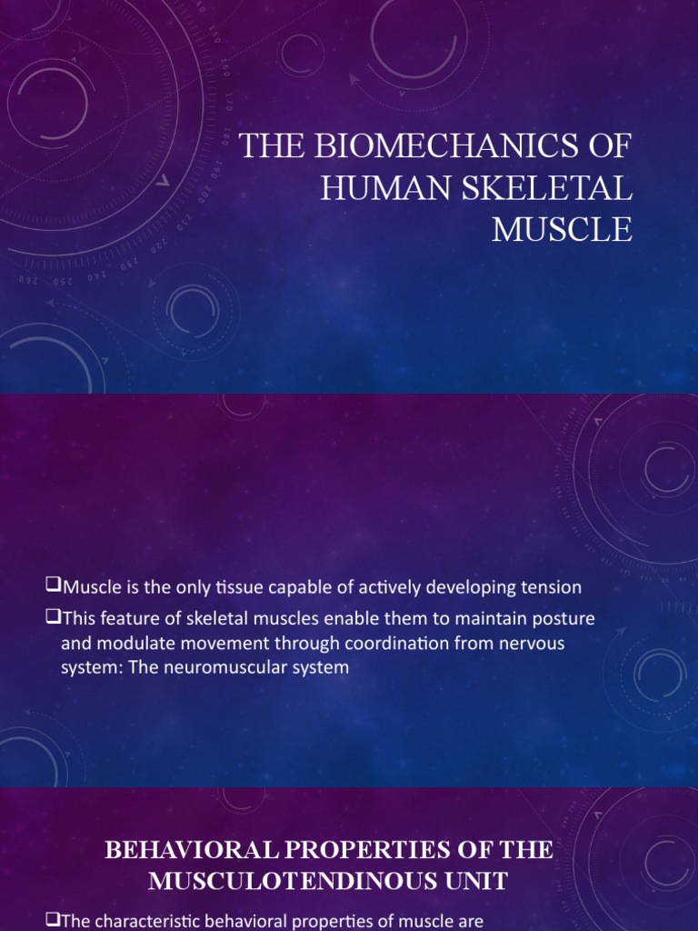 Lec 9 Biomechanics of Muscle Part 1 | PDF | Skeletal Muscle | Myocyte