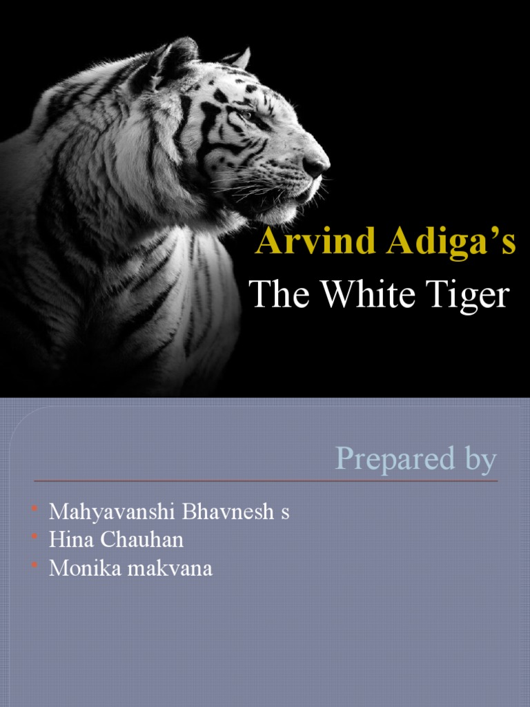 Arvind Adiga's: The White Tiger | PDF | Social Science | General Fiction