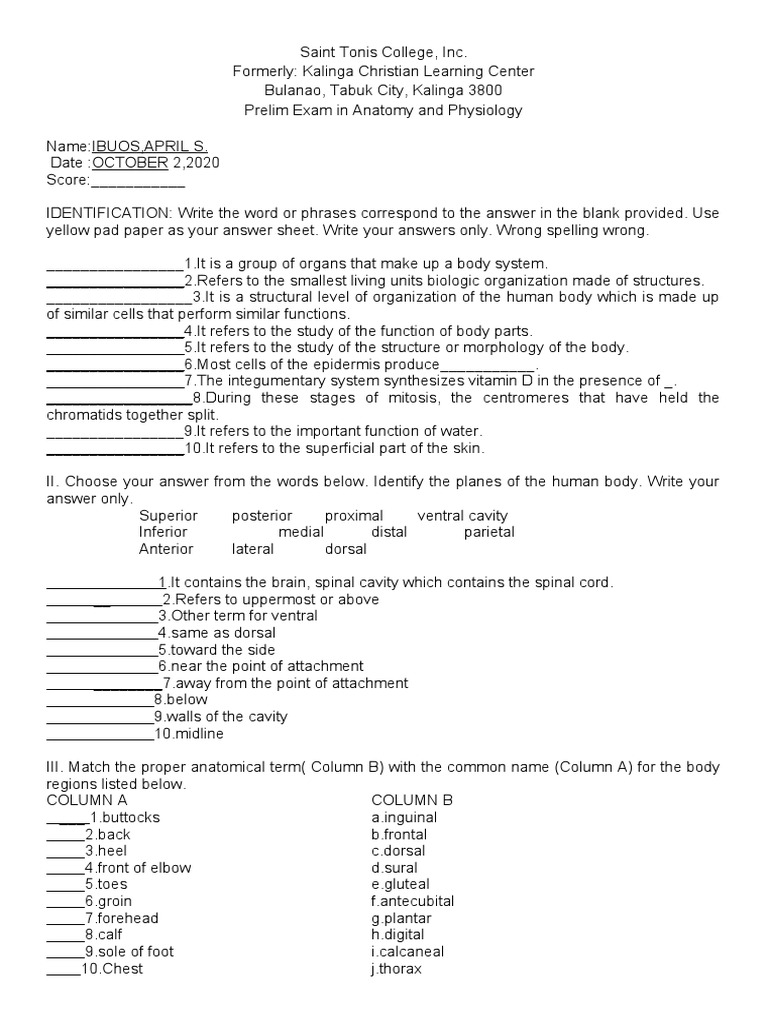 Anatomy and Physiology Preliminary Examination: Identifying Body ...