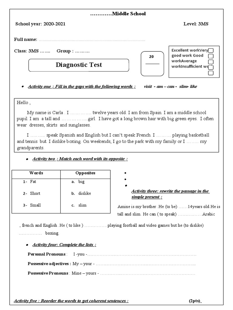3ms Diagnostic Test | PDF | Cognitive Science | Syntax