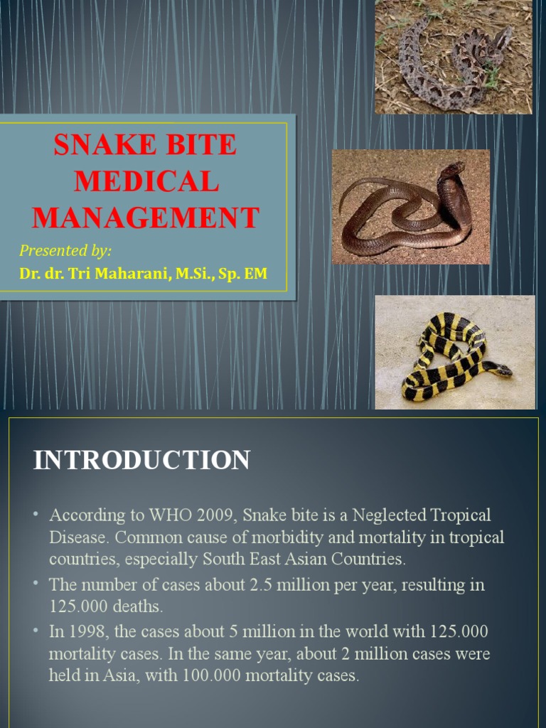 Snake Bite Medical Management Guide | PDF | Coagulation | Medical ...
