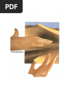 Octavio Paz My Life With The Wave | PDF | Nature