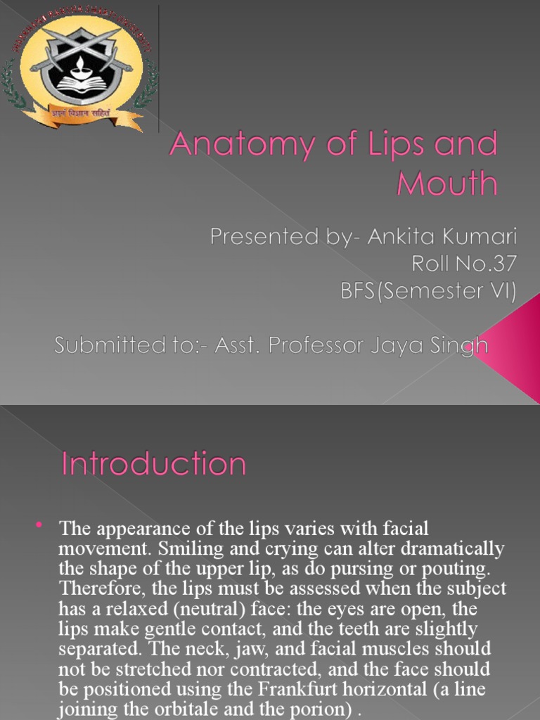 Anatomy of Lips and Mouth | PDF | Lip | Human Anatomy
