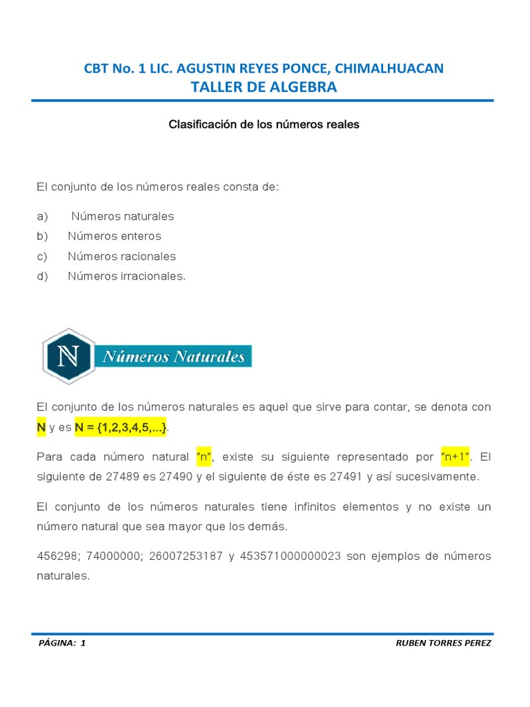 Clasificación de Números Reales en Álgebra | PDF | Número racional ...