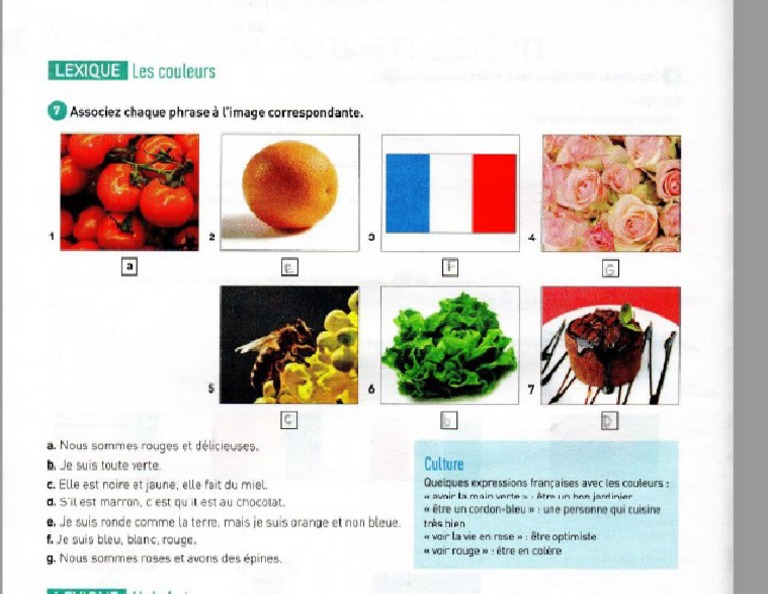 French Fruits and Vegetables | PDF