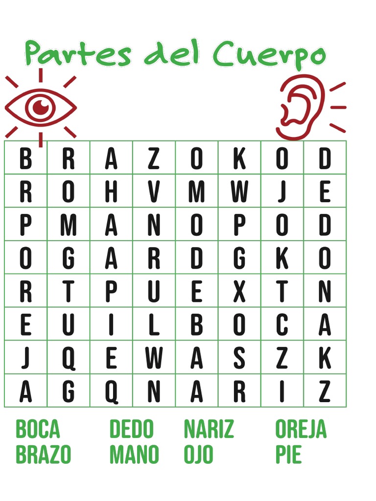 Partes Del Cuerpo Sopa de Letras | PDF